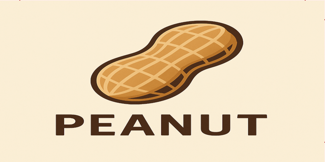 GitHub - tocsindata/peanut: Collection of Bash script to preform installs and setups for AWS ...