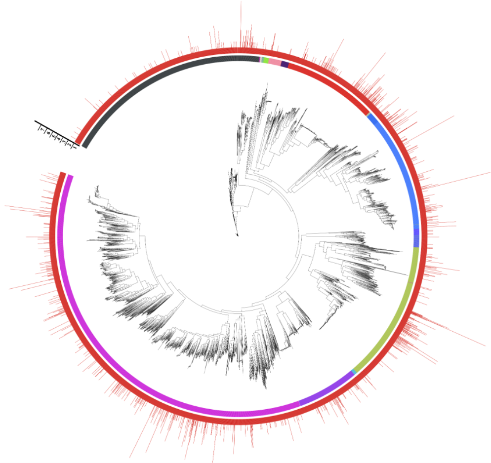 GitHub - trajkovski-lab/humsub: This is a repository containing code necessary to reproduce all ...