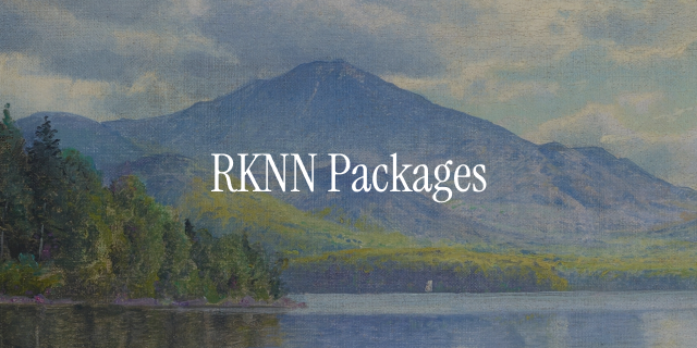 GitHub - roman-koshchei/rknn-packages: RKNN Toolkit 2 Python packages