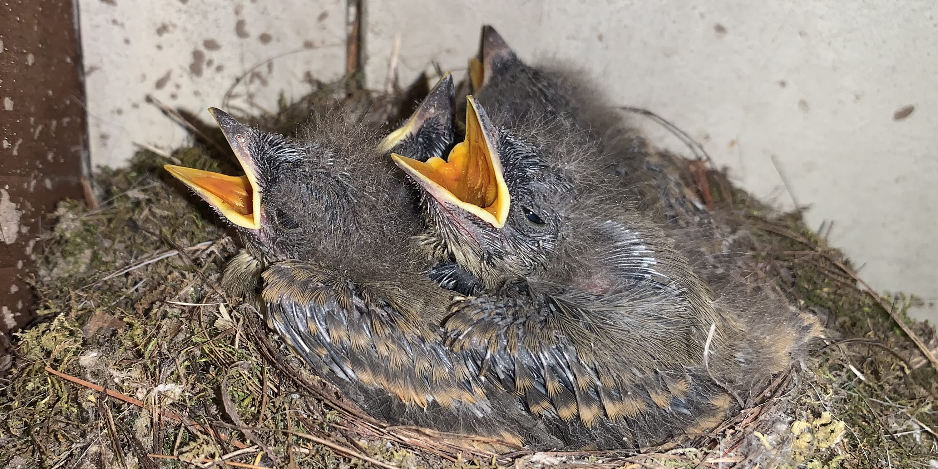 GitHub - lgreco/grading: College Grading in the AI Era