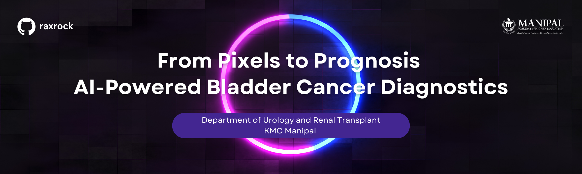 bladder_cancer_classification/assets at main · raxrock/bladder_cancer ...