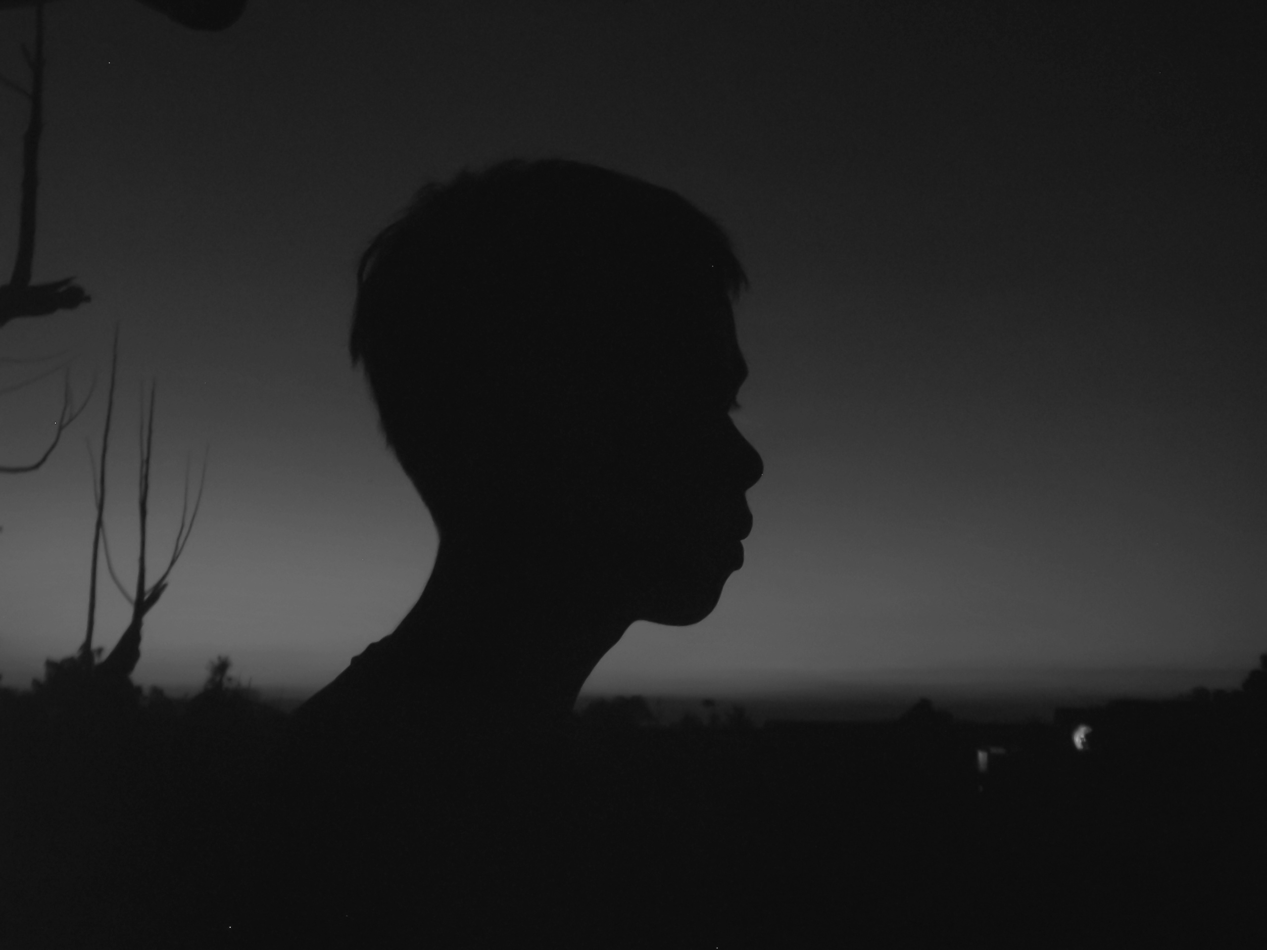 GitHub - dreadnought2099/MDC_PathFinder: MDC PathFinder is a web-based platform designed to help ...