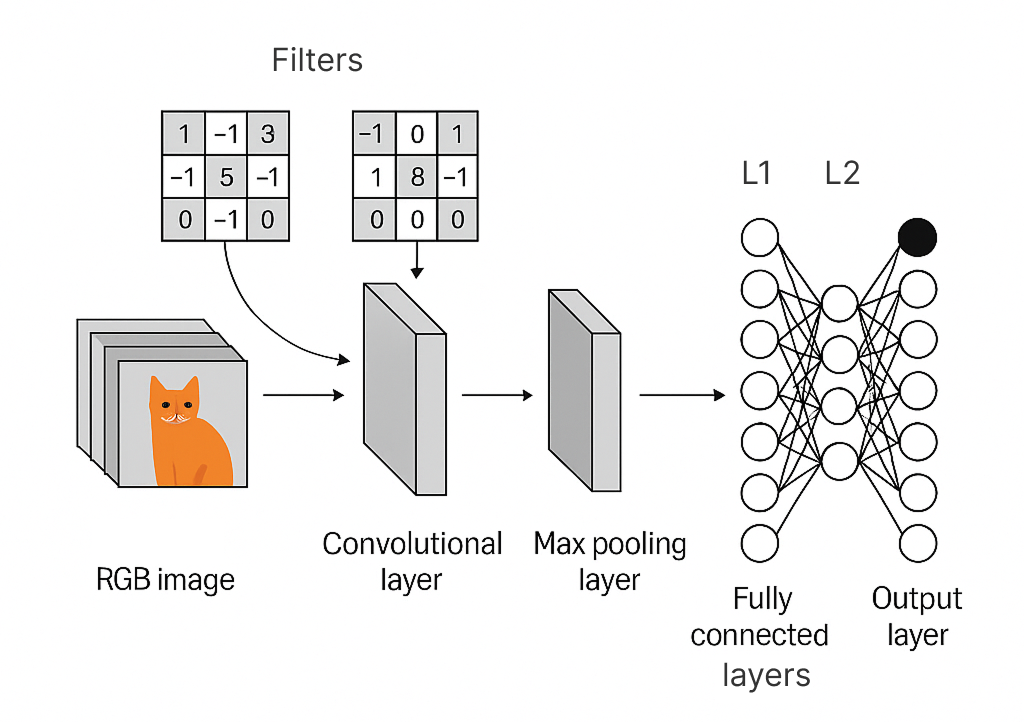 cnn-fs · GitHub Topics · GitHub