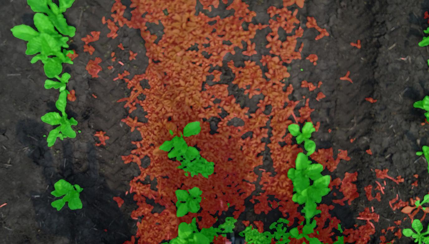 GitHub - gabe-zhang/sugarbeet-weed-segmentation: Semantic segmentation for crop/weed detection ...