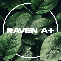 GitHub - Raven-APlus/RavenAPlus: Raven A+ :o