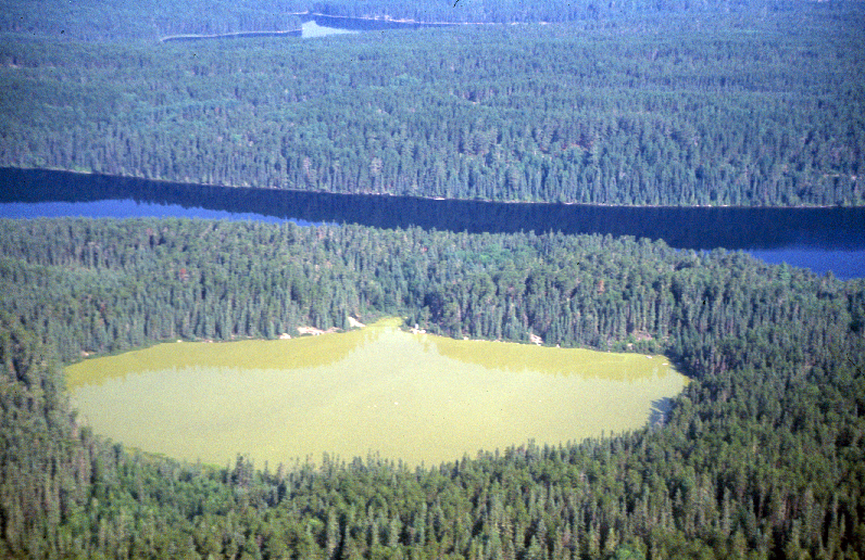 GitHub - biogeochemistry/MyLake_Lake-227