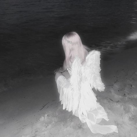 XOA-x-CORALINE-bot2-v3/main.py at main · XOA74/XOA-x-CORALINE-bot2-v3 · GitHub