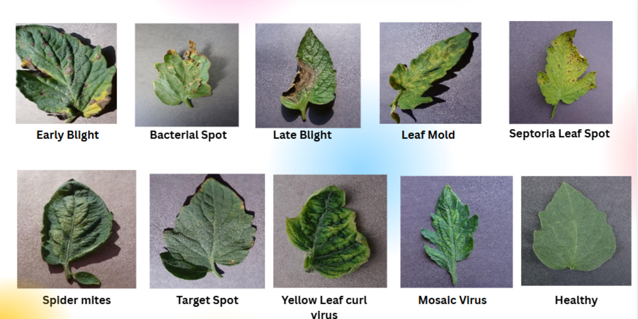 GitHub - Lakshmipriya-280/Tomate-Leaf-Disease-Classifier: A deep learning-based classifier for ...