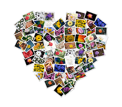 GitHub - heremorty/FigrCollage-Professional-Edition-Working: MAGIX ...