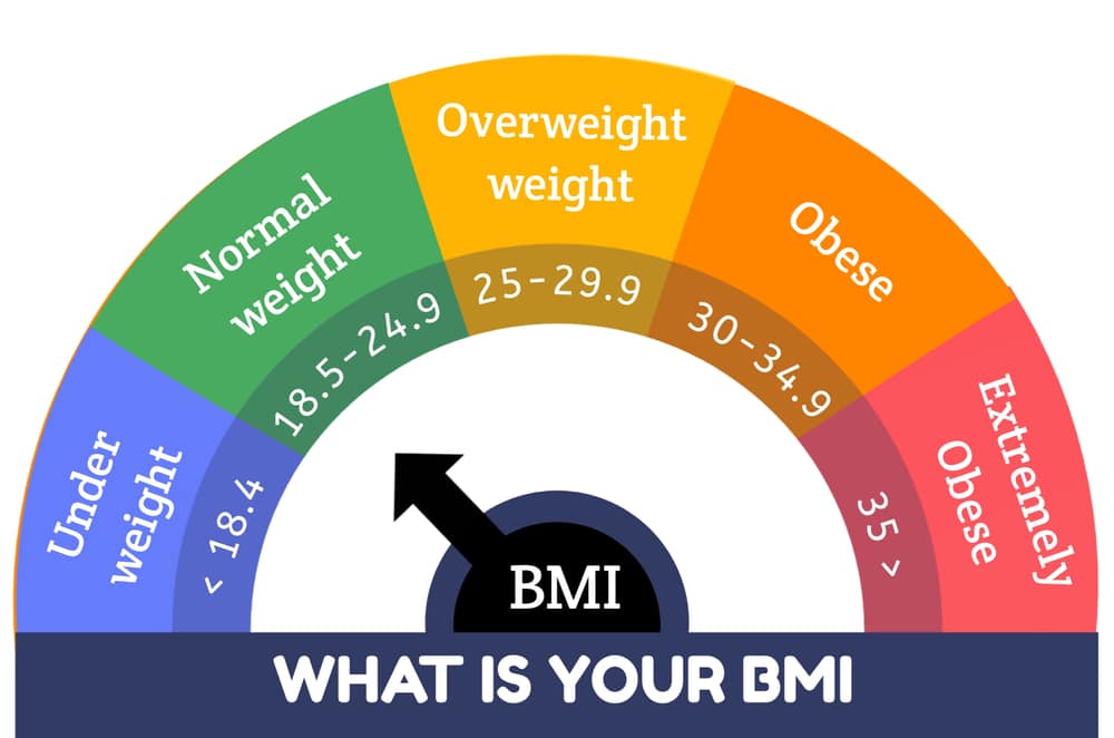 GitHub - mohammadkhalaf262002-blip/bmi-health-calculator: Advanced BMI Health Calculator with ...