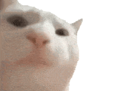 GitHub - FixeQD/spicetify-cat-jam-synced-reborn: A reborn and optimized ...