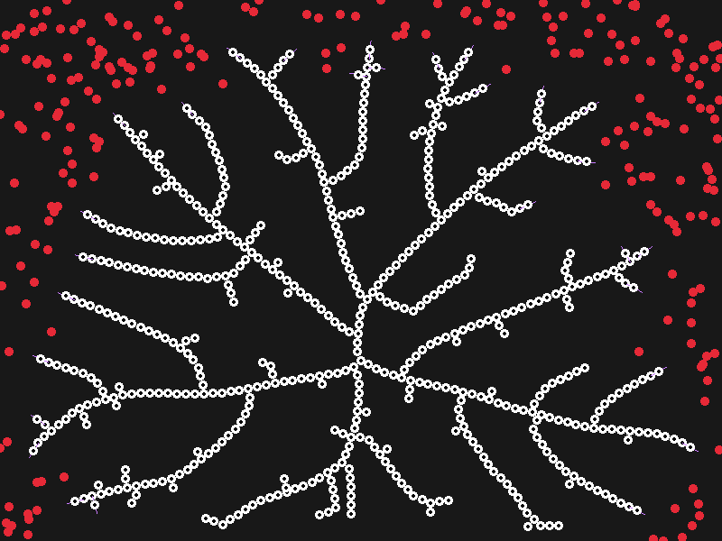 GitHub - tsoding/leaf-venation: Implementation of "Modeling and ...