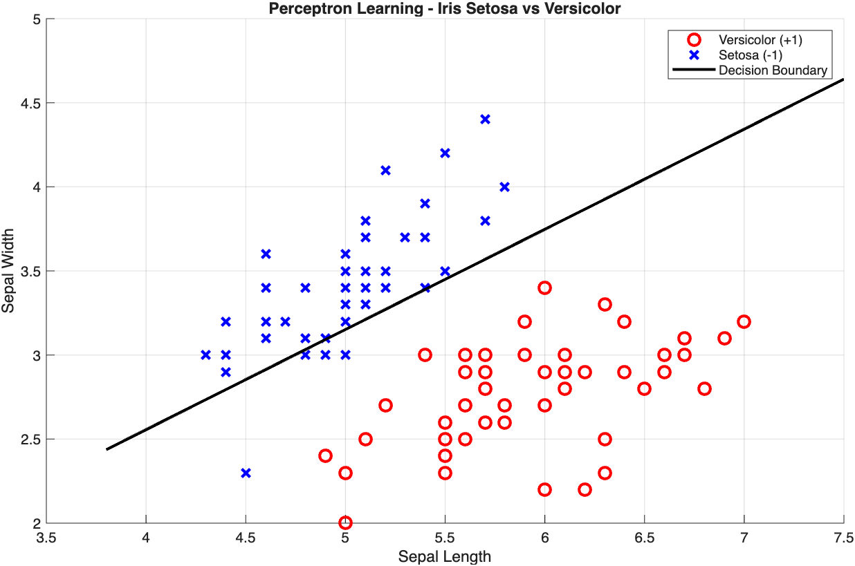 GitHub - nibedika/perceptron-learning-iris-dataset: Machine Learning ...