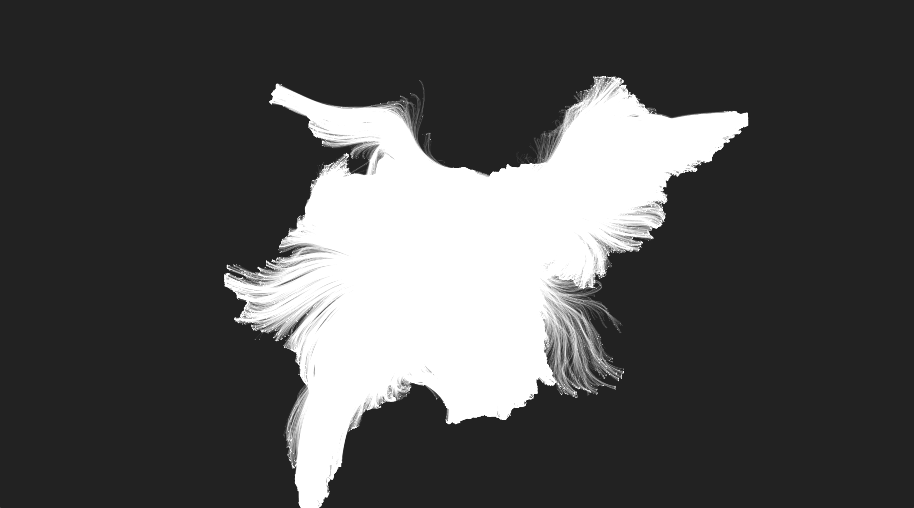 GitHub - keeffEoghan/tendrils: Core of WebGL GPGPU particles, emergent ...