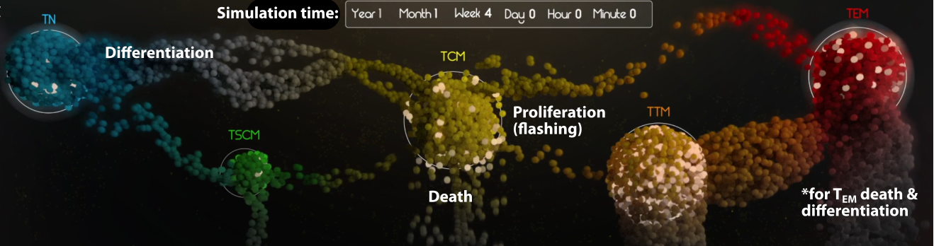 GitHub - dbrvs/HOPE-modeling: modeling for Charline's HOPE paper