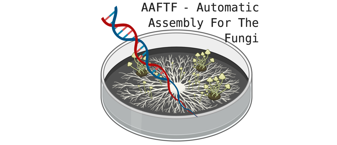 GitHub - stajichlab/AAFTF: Automatic Assembly For The Fungi