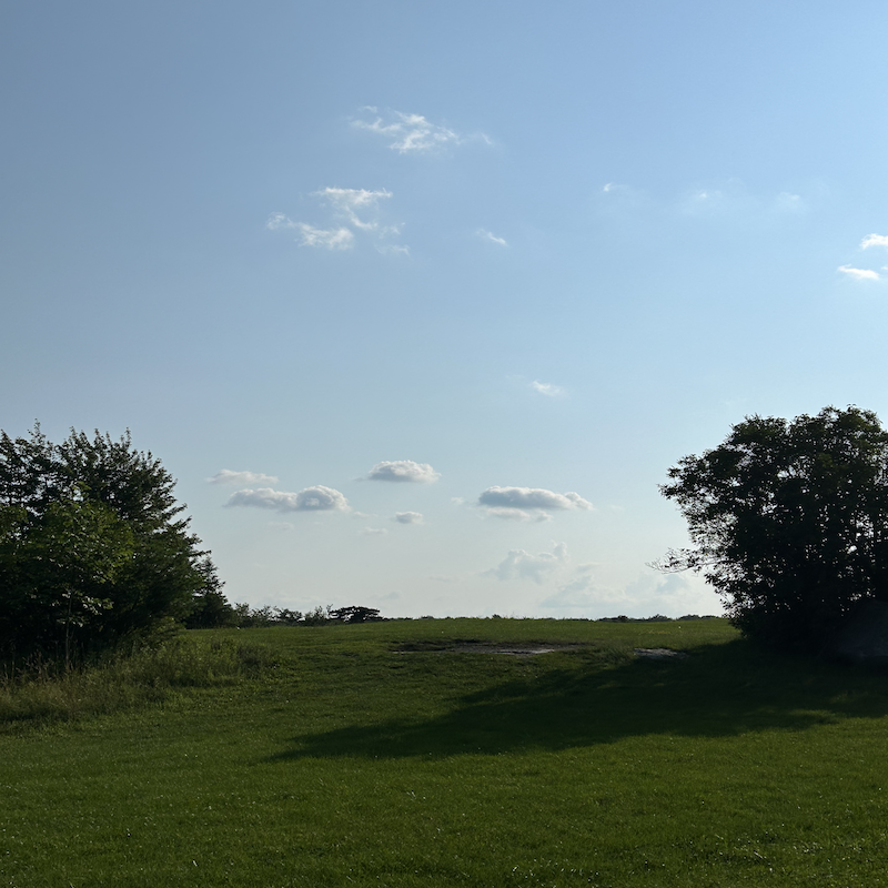 GitHub - iguannalin/congratti