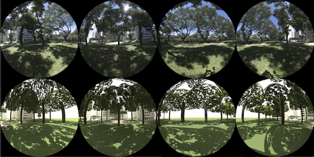 GitHub - C38C/gen_tree: A program to generate simple tree crown models ...