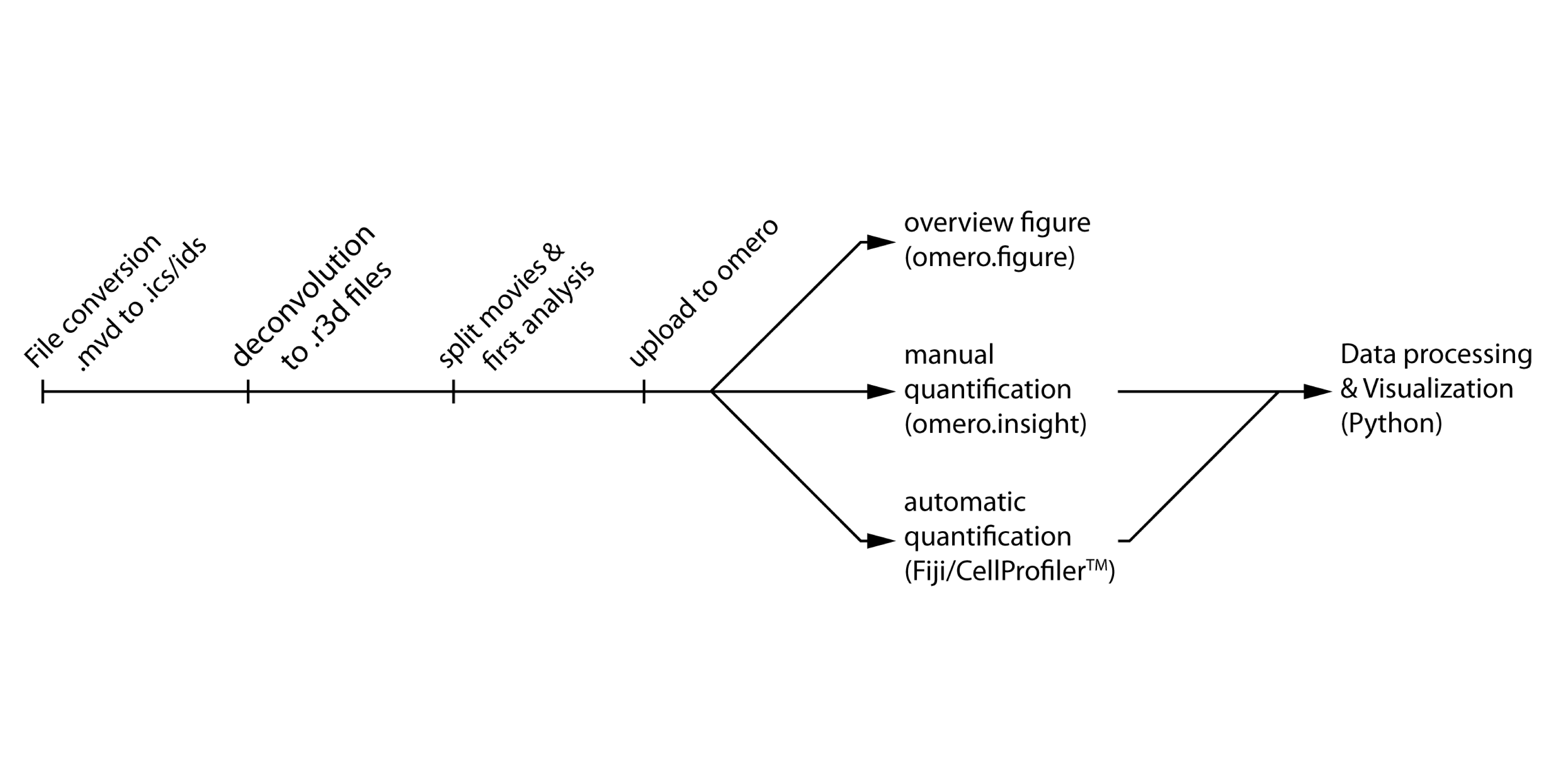 GitHub - EtienneEs/ImageProcessingPipeline-PE: This project is a step by step guide to analyse ...