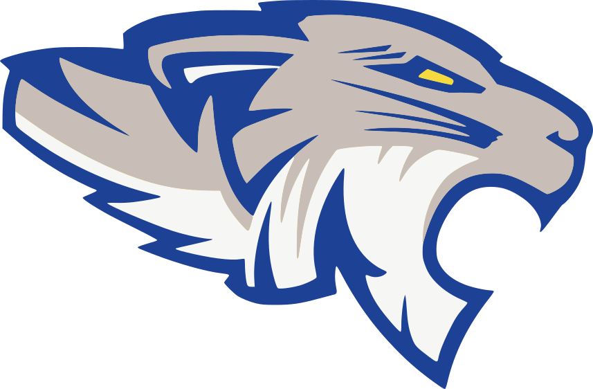 GitHub - FHS-Robotics/FRC-VSCode-Team5866: Team 5866 Fe Iron Tigers ...