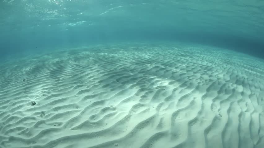 GitHub - stebrizzo/wave-ripples-ML: Prediction of wave ripples ...