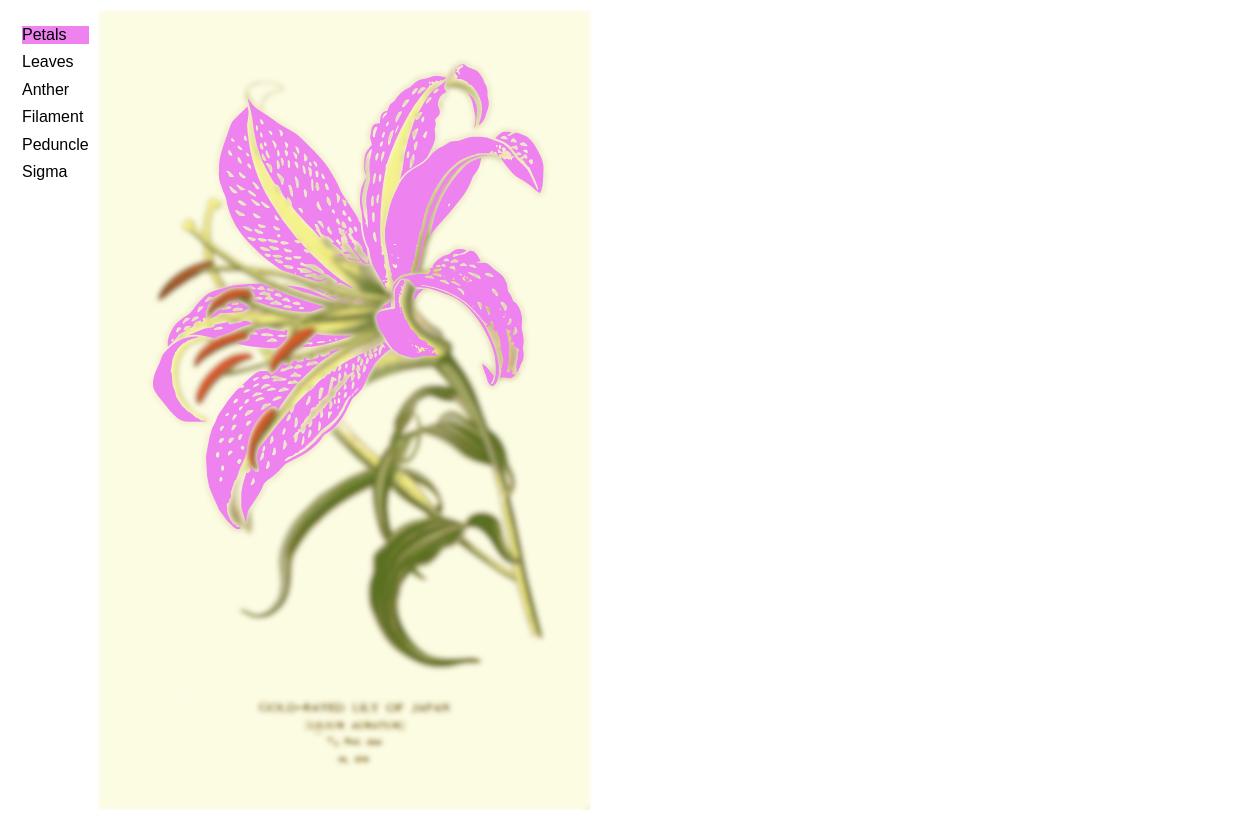 GitHub - tgiachett/flower-diagram: Interactive diagram proof of concept ...