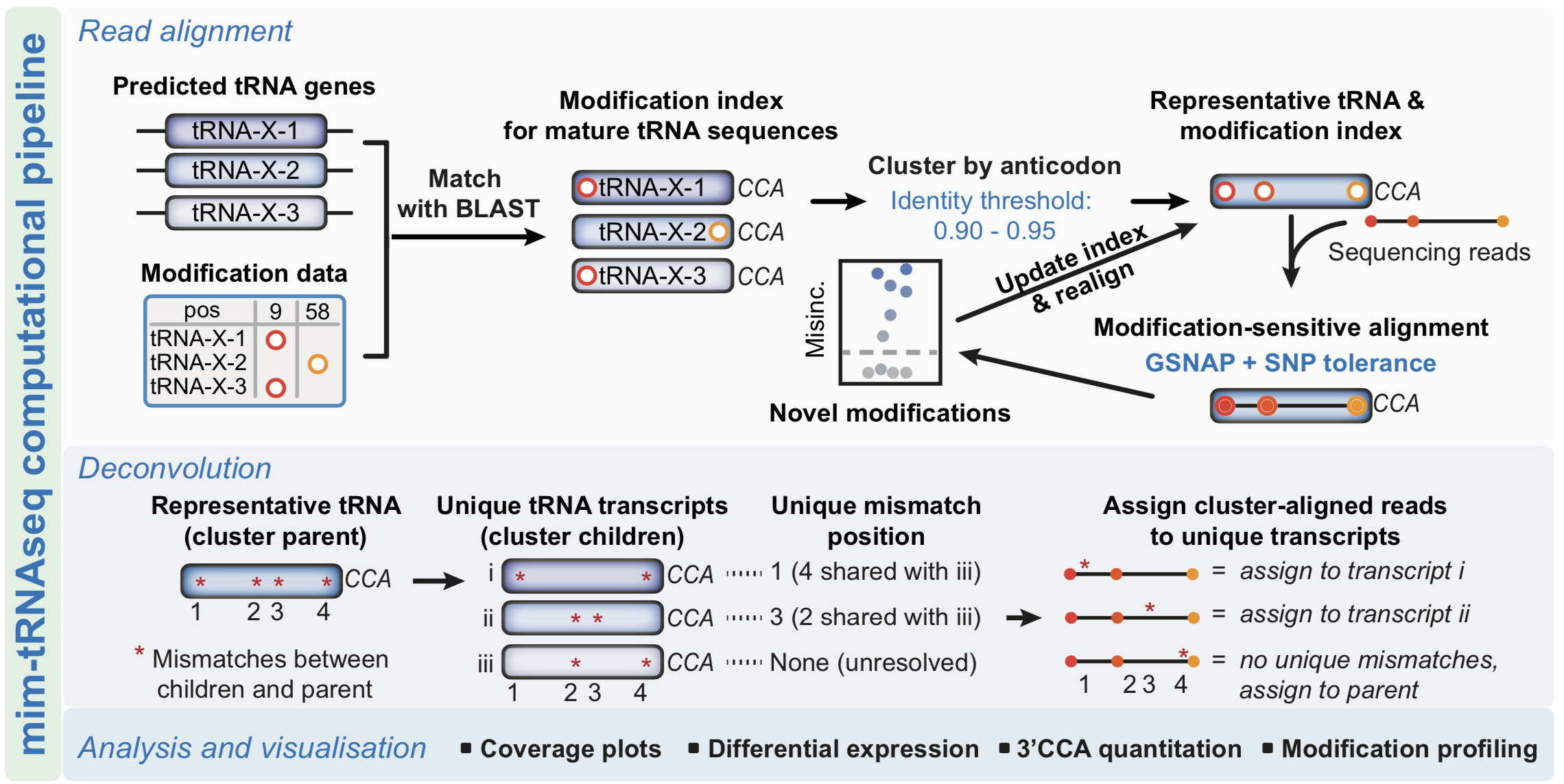 GitHub - nedialkova-lab/mim-tRNAseq: Modification-induced misincorporation tRNA sequencing