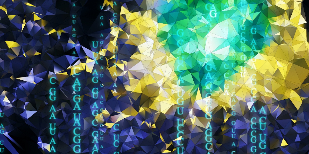 Github Stasaki Decode A Prediction Model For Differential Gene