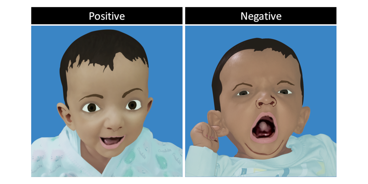 GitHub - heuristicwondering/CALMstudy-fMRI: All stimuli presentation ...