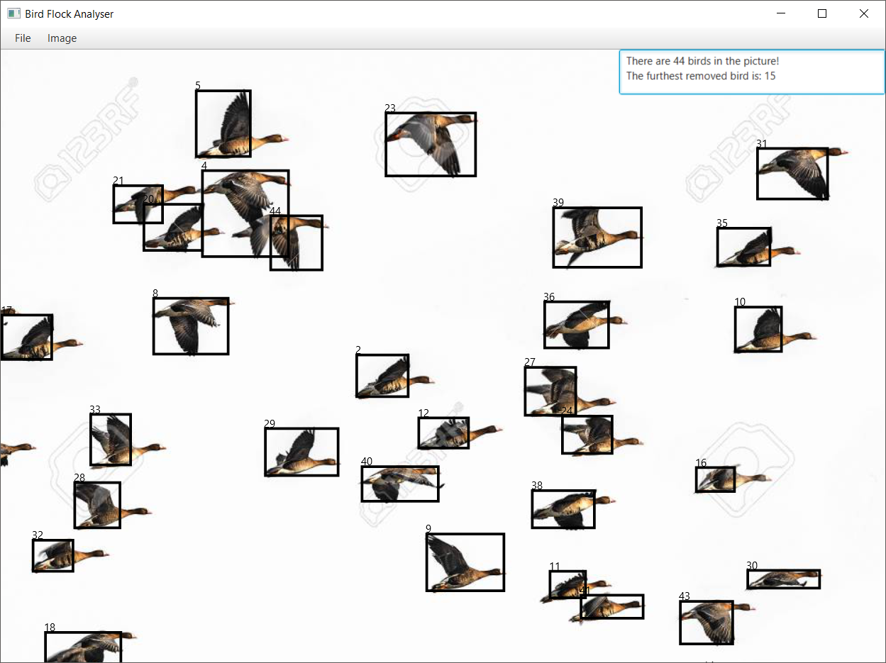 GitHub - dylanrichards/BirdFlockAnalyser: Image processing application that detects the number ...