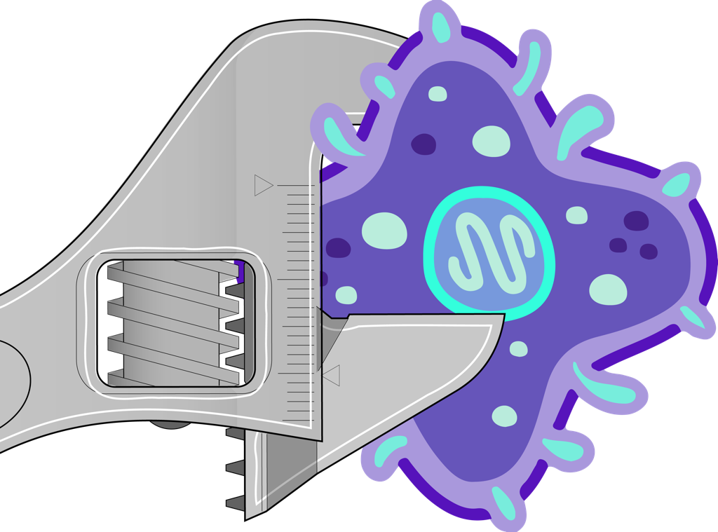 GitHub - broadinstitute/CellBender: CellBender is a software package for eliminating technical ...