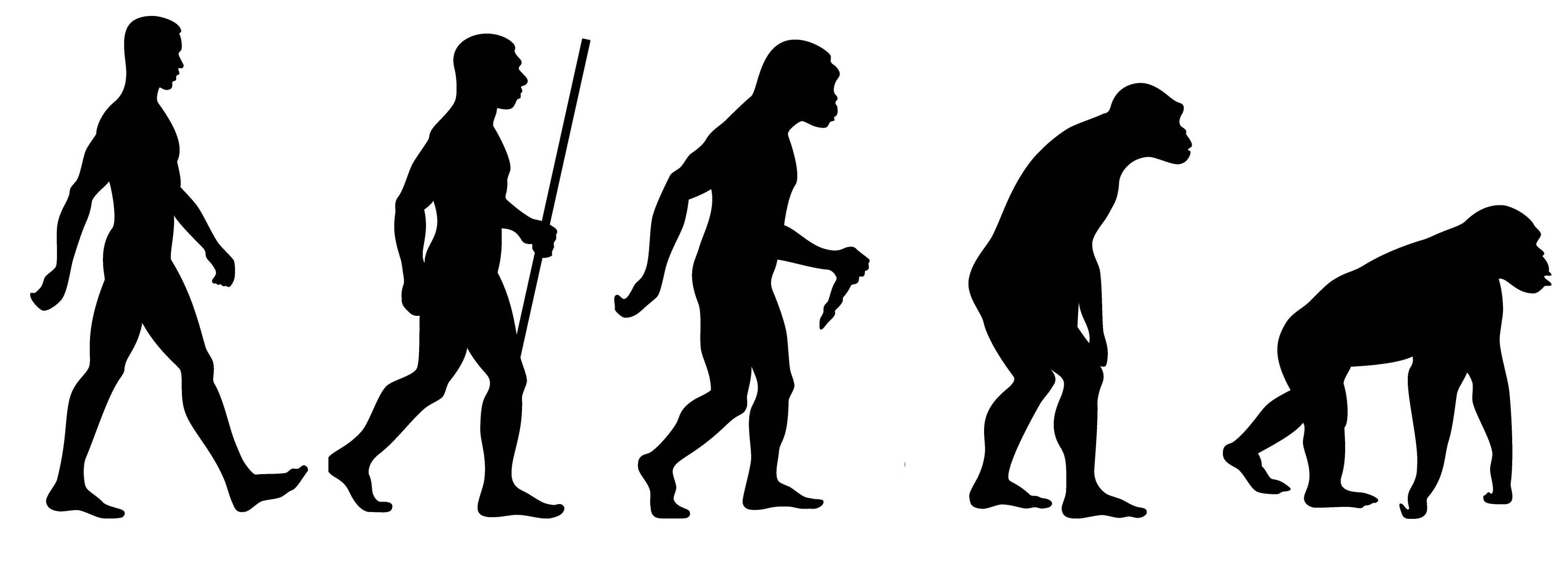 GitHub - theKashey/devolution: 🦎 -> 🦖A de-evolution gun for your bundle! GitHub - theKashey/devolution: 🦎 -> 🦖A de-evolution gun for your bundle!