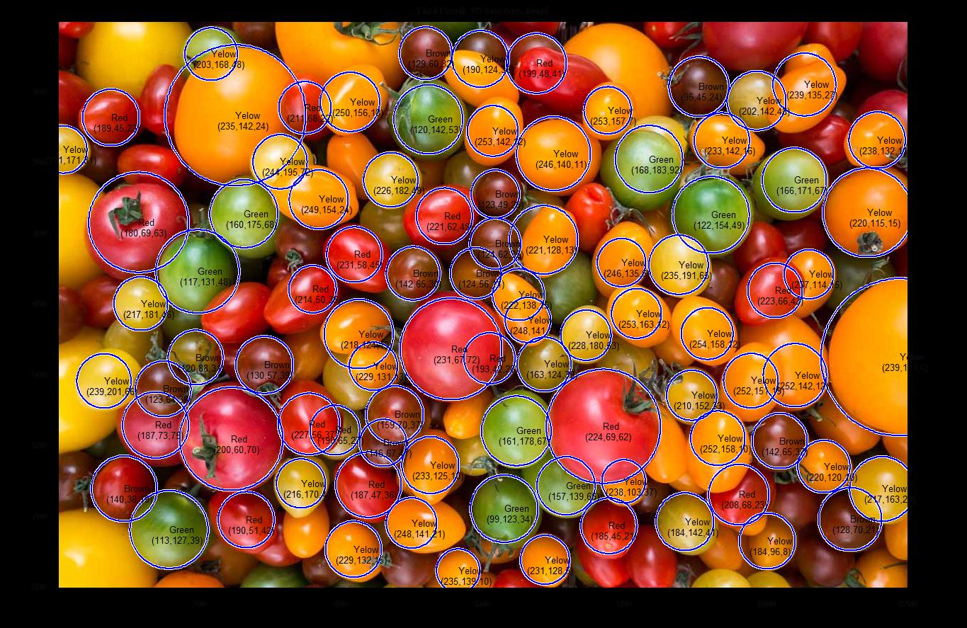 GitHub - zionahar/Circle_detection_and_Classification: Circle detection ...