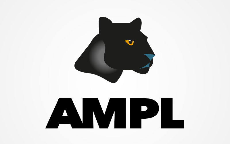 GitHub - amb-lucas/AMPL-Programs: AMPL models for the Optimization discipline at UFPE