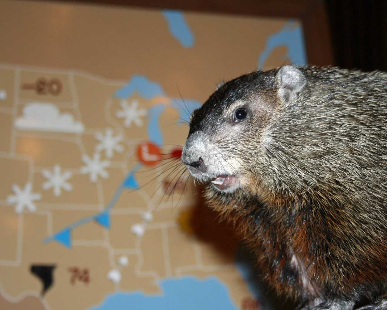 GitHub - UselessNinja/GroundHog: Second year project at {EPITECH}. Introduction to computer ...