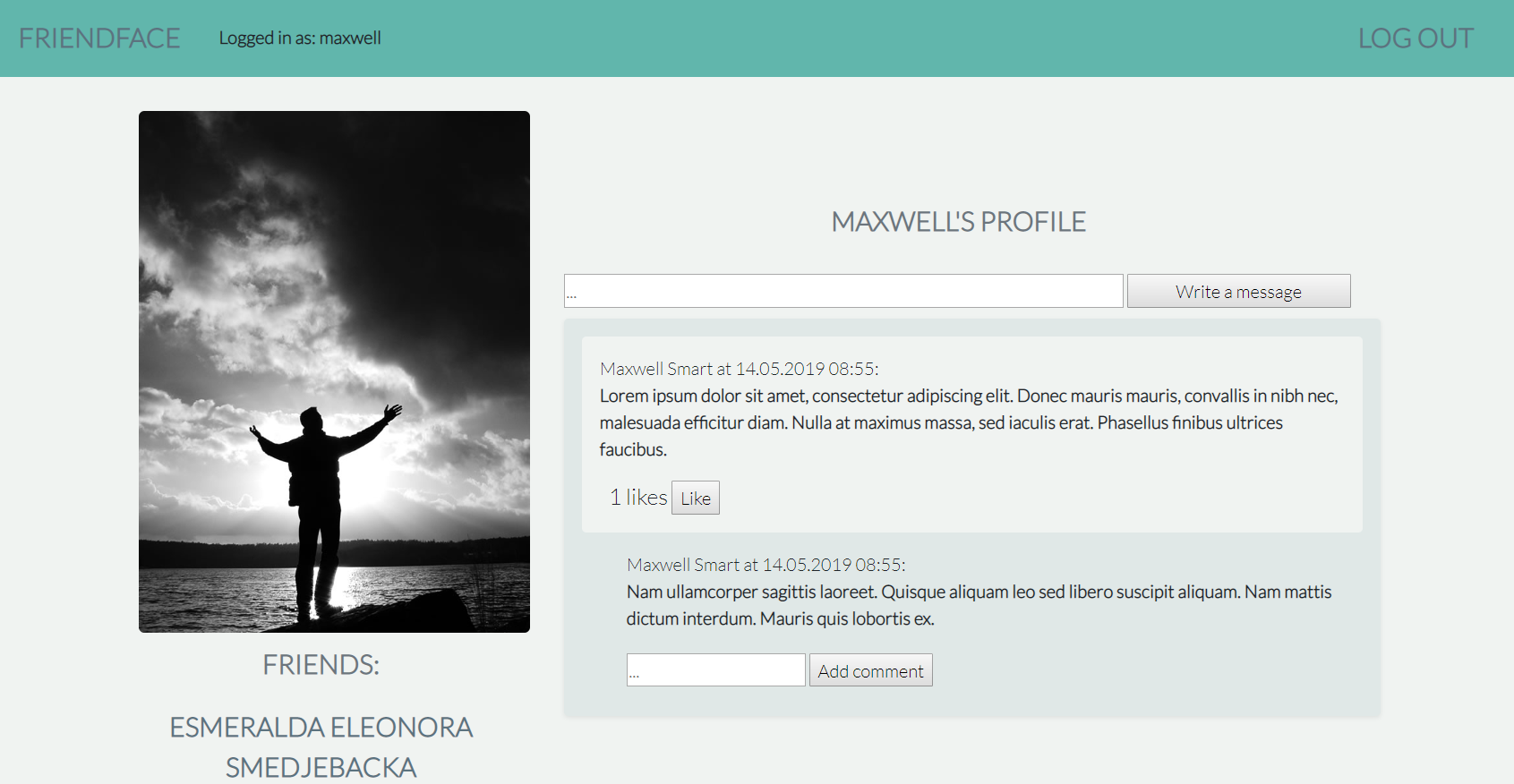 GitHub - sarlijes/FriendFace