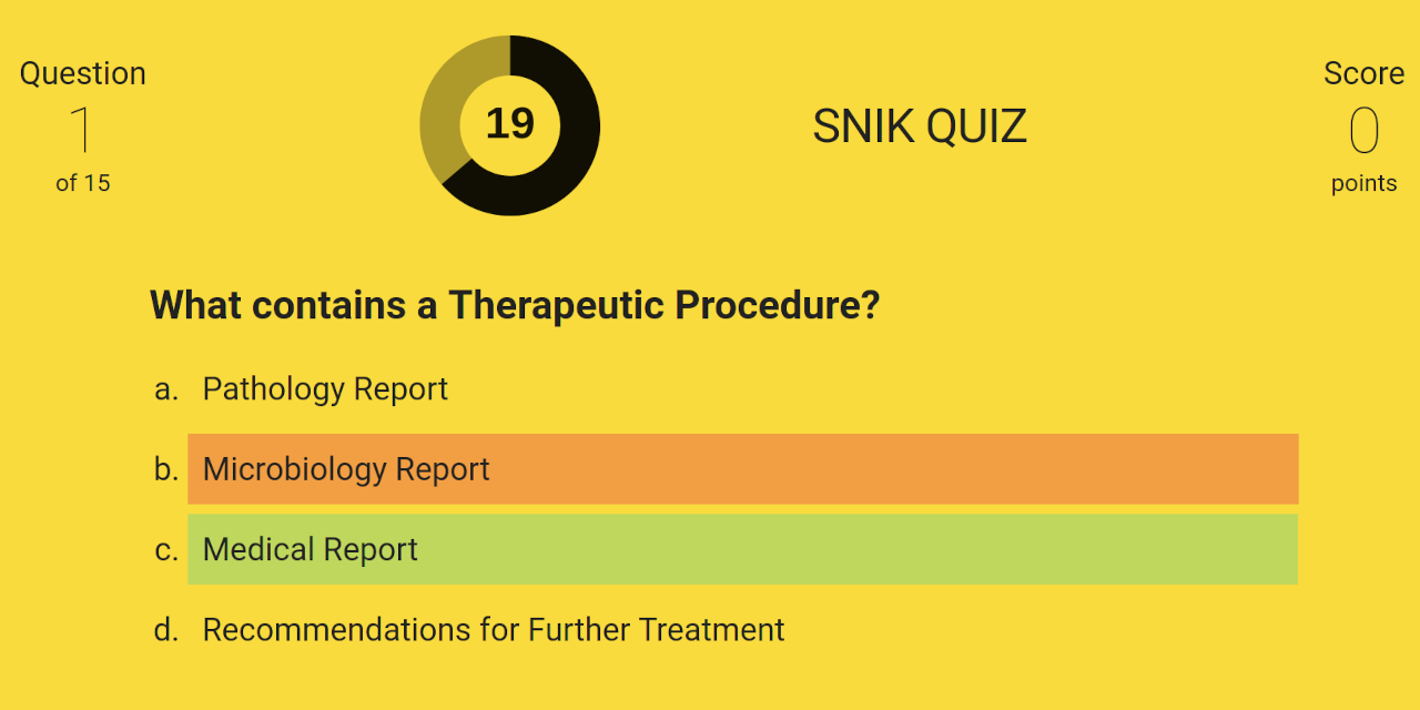 Github Snikprojectquiz Web Quiz With Snik Questions 