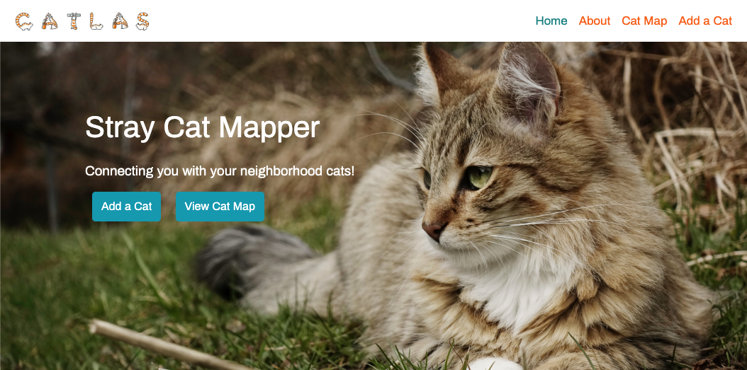GitHub - rooneyshuman/CATLAS: Stray cat mapper