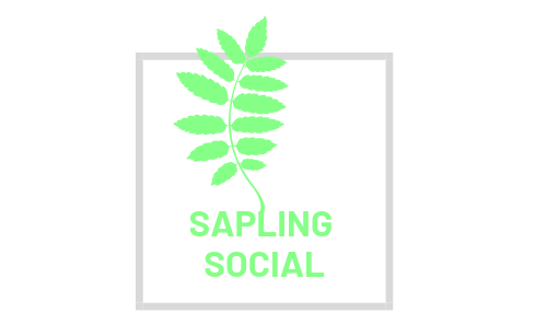 GitHub - Roxiquicksilver/sapling_social: Do you need digital marketing ...