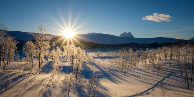 GitHub - ziyecheng/idocs