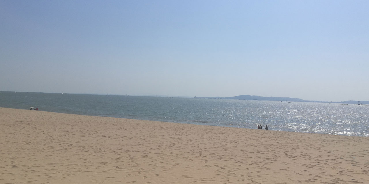 GitHub - soonroad/learngit: to learn git.