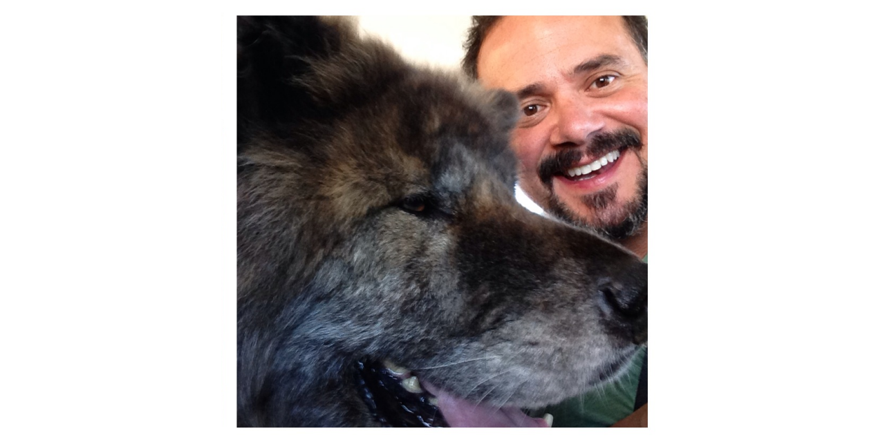 GitHub - raypereda/wiredog: a terminal-based monitor of local HTTP traffic