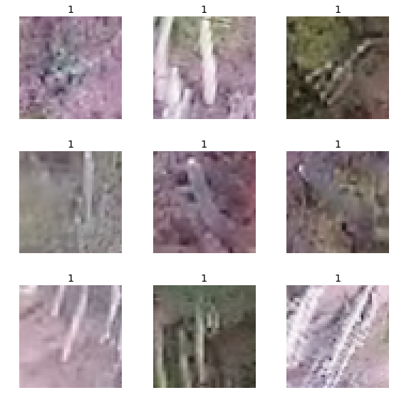 Aerial-Cactus-Identification/Aerial Cactus Identification using fastai ...