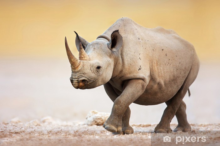 GitHub - Hypnootis/angry-bees-game: A short game made in pygame