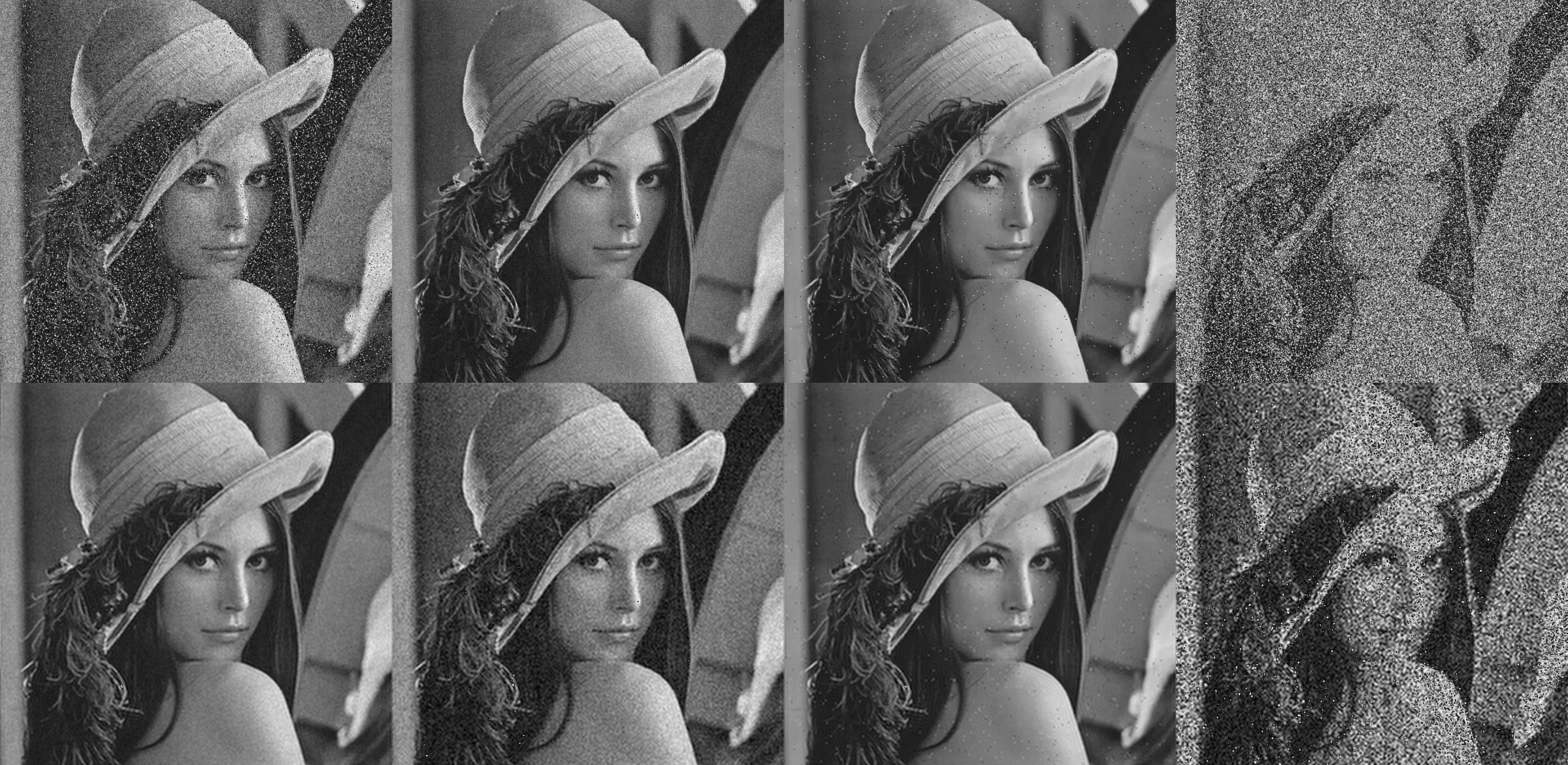 GitHub - Eereenah/pde-project: Image Denoising Using Perona-Malik Anisotropic Diffusion