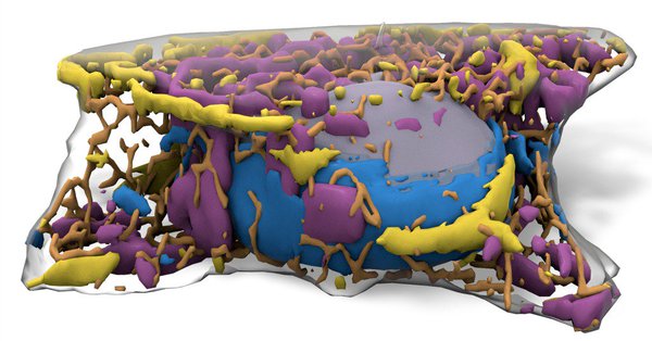 Github Csbioazim Csbioazim Github Io Github Pages Template For