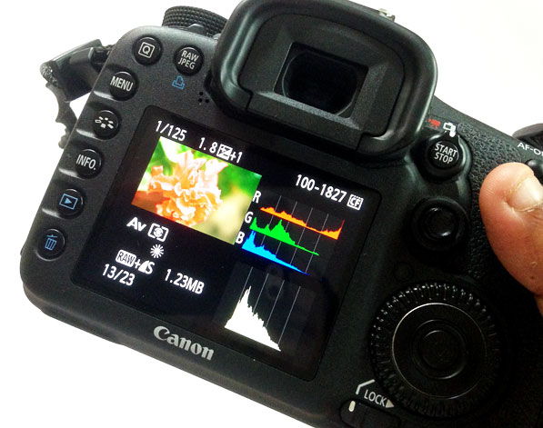 GitHub - ThomazWild/CV2-Image-Histogram