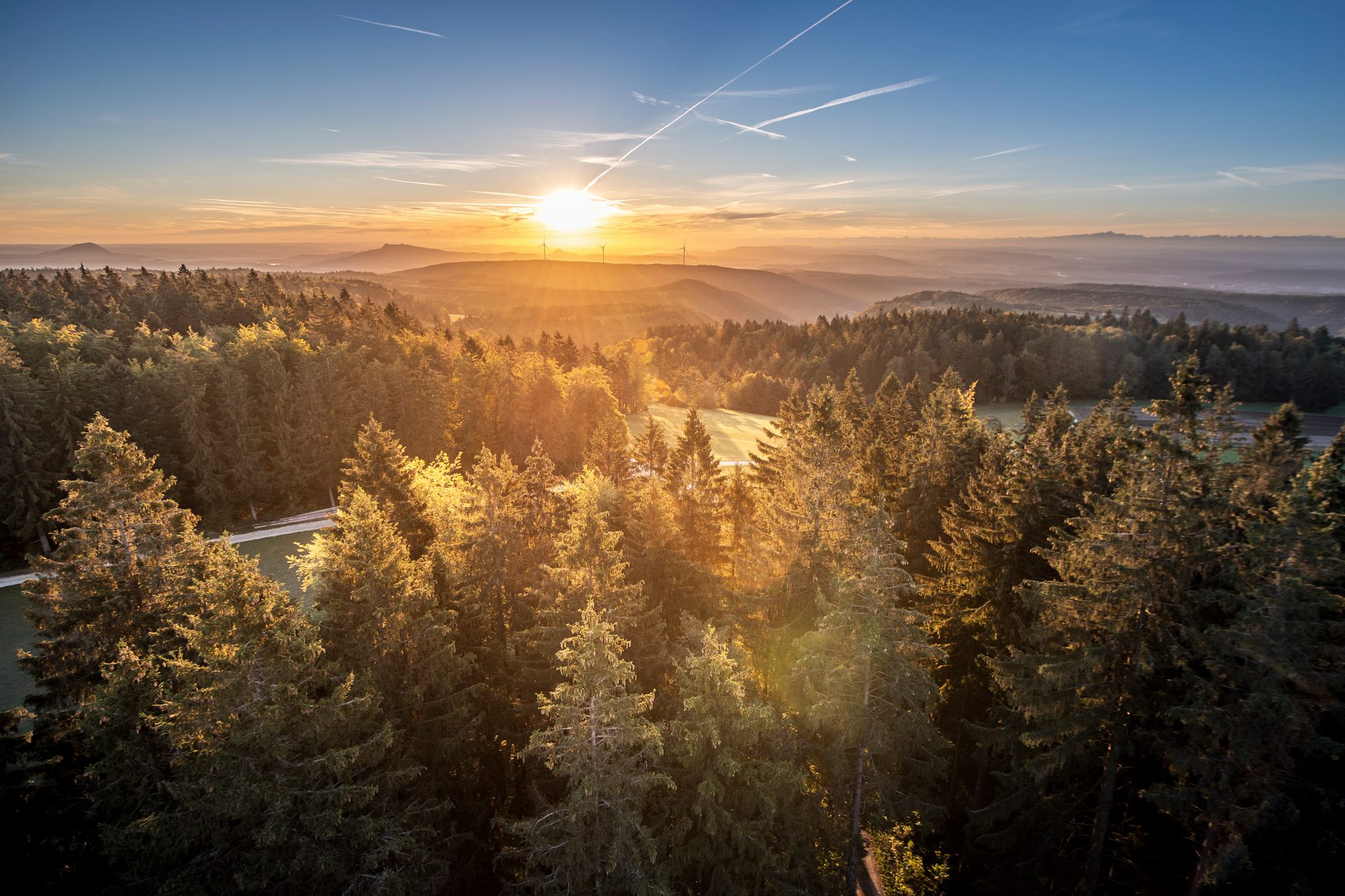 eid · GitHub Topics · GitHub