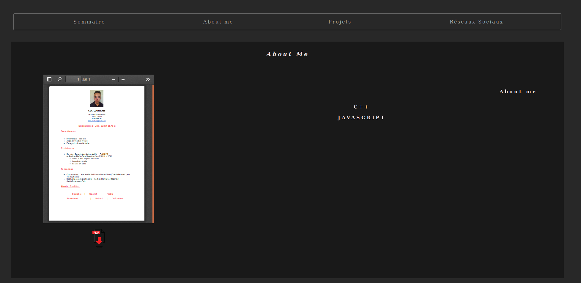 GitHub - ECecillo/Enzo_CECILLON
