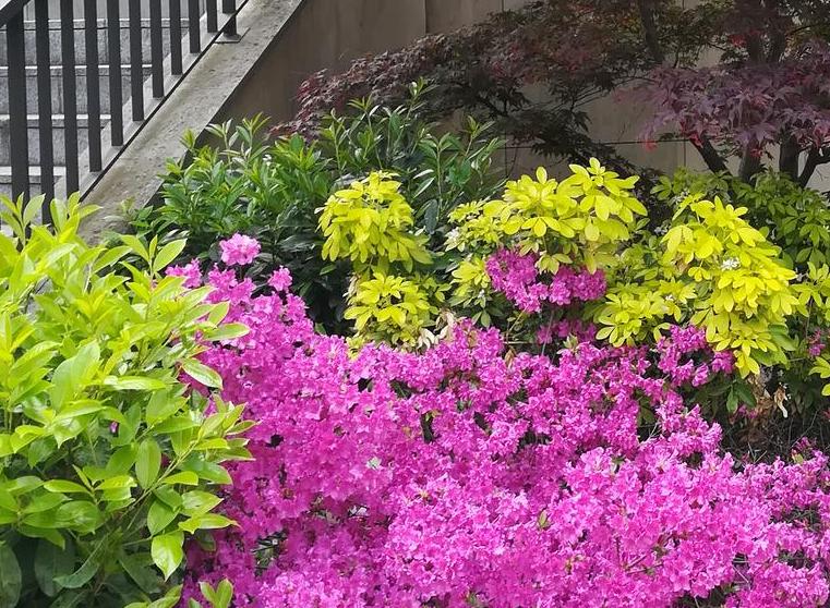 GitHub - marcespie/openbsd-backgrounds: photos taken by OpenBSD developers